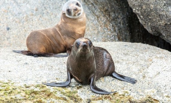 Short Breaks Australia - Holiday deals & Hotel getaways